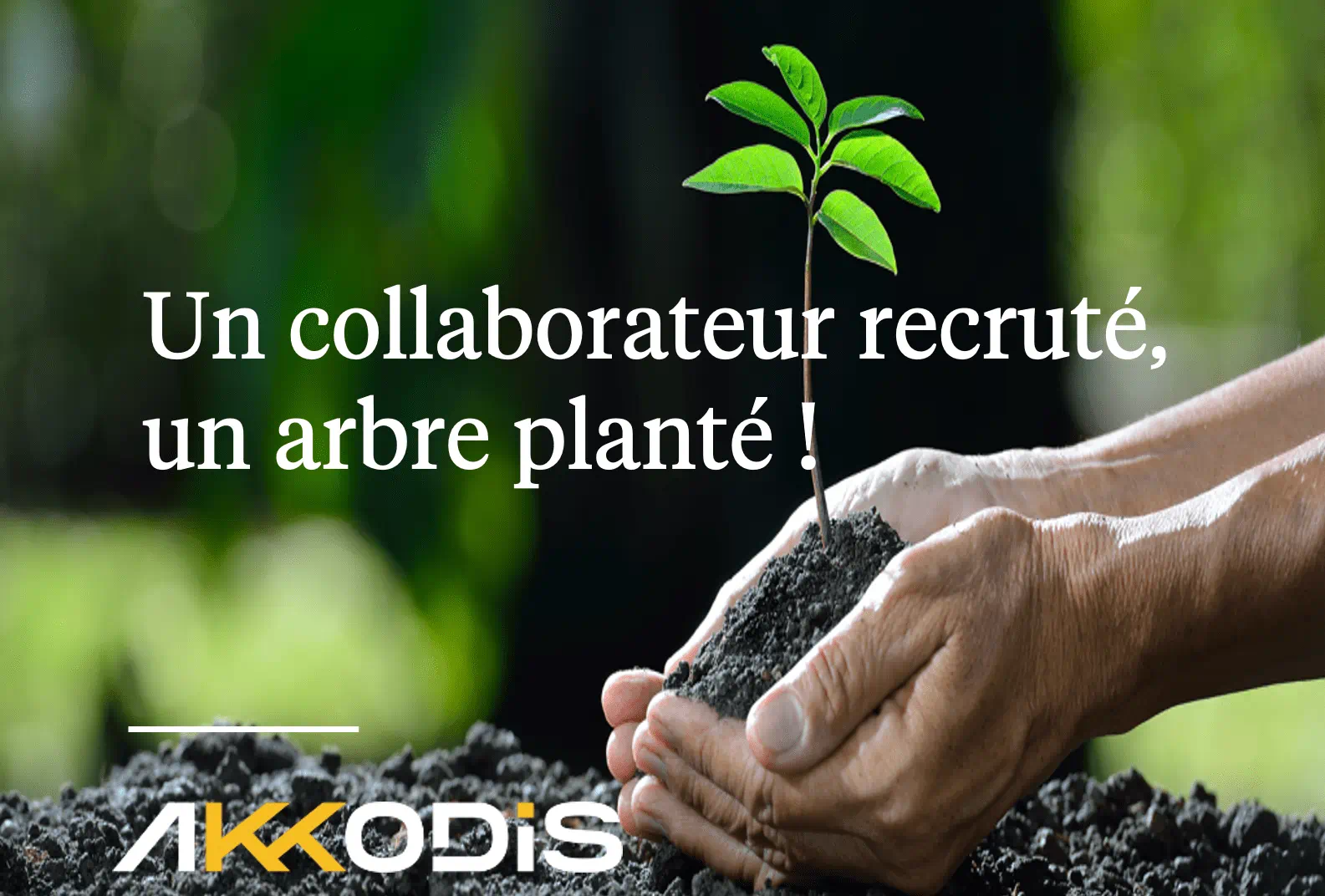 Renouvellement de notre engagement avec Reforest’Action | Akkodis