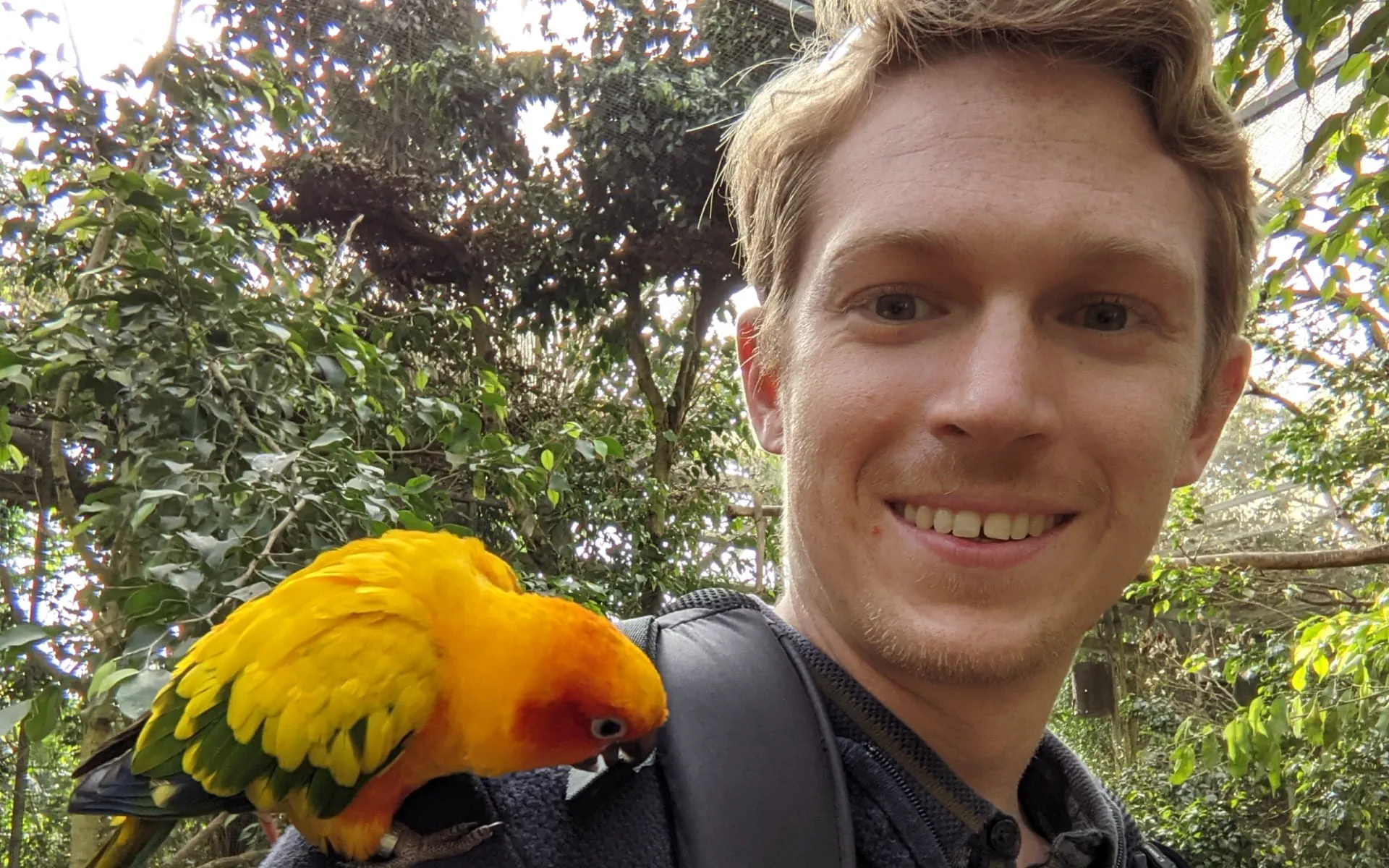 Managing my life with project manager Romain Brachet | Akkodis