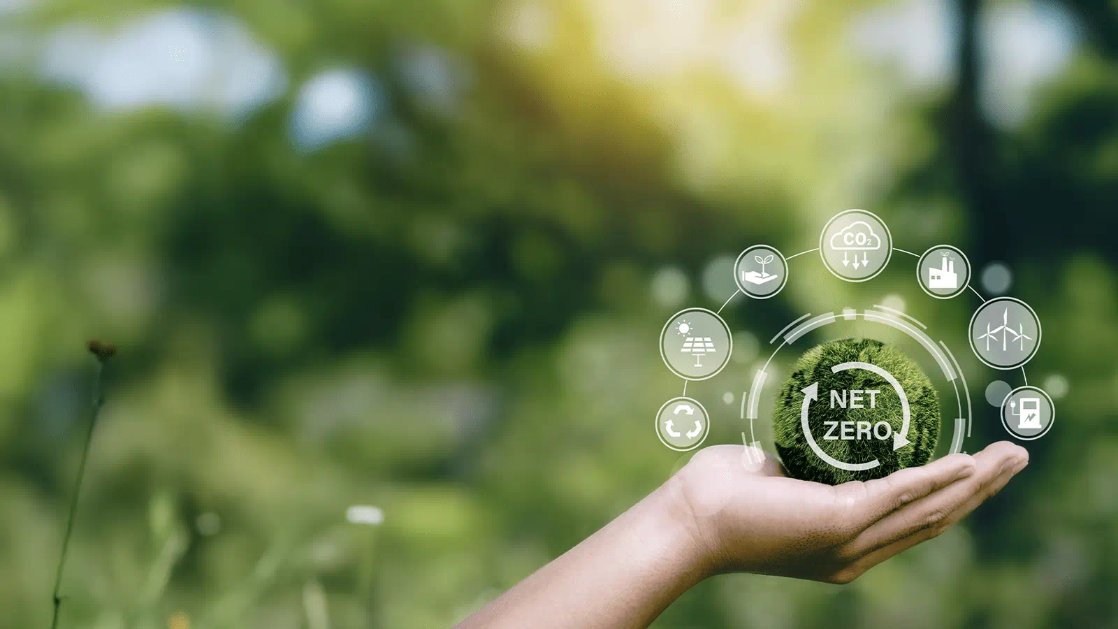 PDI Pilots Sustainable Waste Management Project | Akkodis