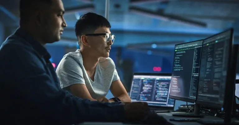 Software Developer vs Software Engineer: What's the Difference